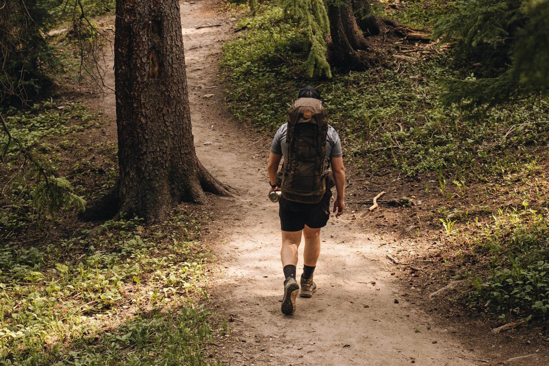 Camping Billy Pot | 1950ml Titanium Billy Can | Alton
