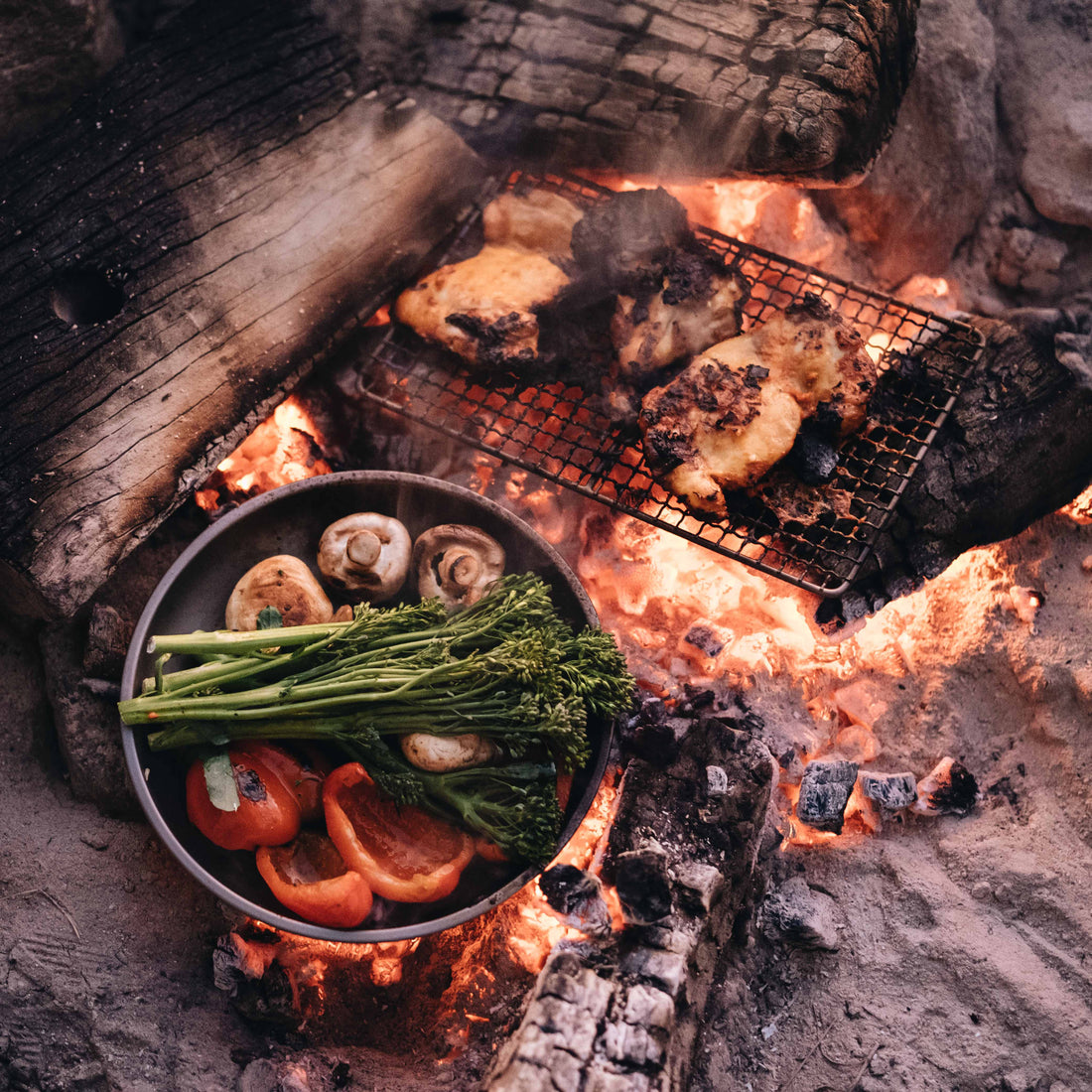 Ultralight Titanium Plate | Buy Camping Plate Online | Alton